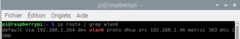 Configurer une adresse IP fixe pour votre Raspberry Pi • AranaCorp