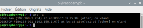Configurer une adresse IP fixe pour votre Raspberry Pi • AranaCorp