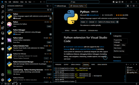 Programación en Python con VSCode • AranaCorp